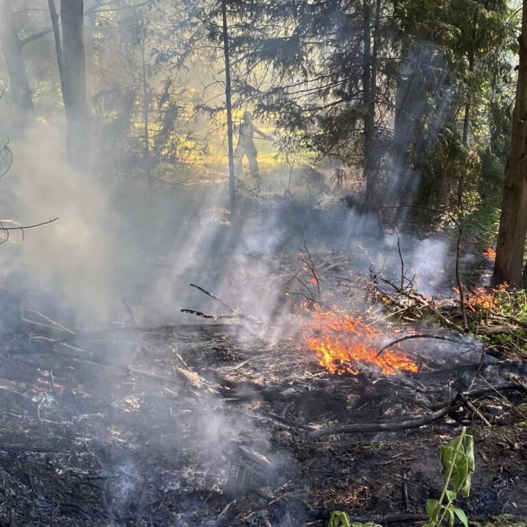 Vischer Ferry Volunteer Fire Company